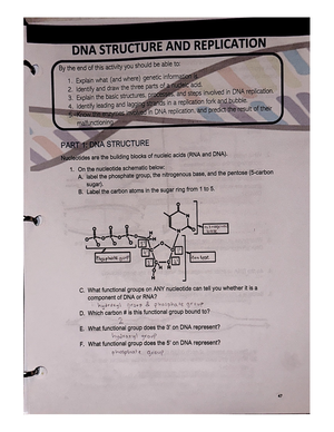 AP Biology Virtual Pre-lab Bacterial Transformation 2021 - Nimisha ...