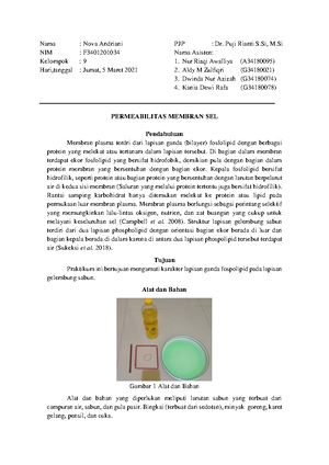 Opera Gelembung Sabun - 1 Nama : Nur Aulia Rezky Arifin Asisten PJ ...