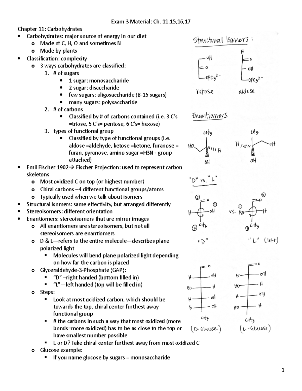 Biochemistry I - Exam 3 Material: Lecture Notes for Chapters 11-17 ...