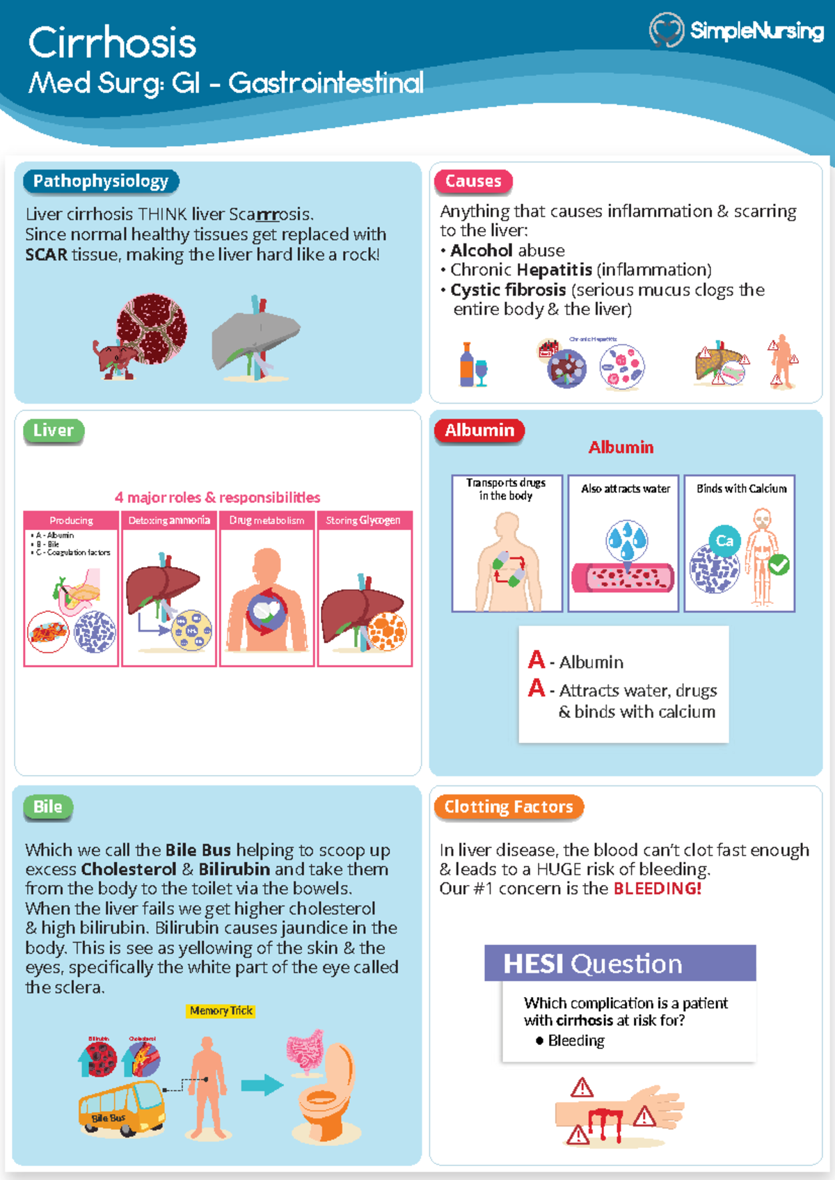 Cirrhosis Med Surg: GI Pathophysiology, Causes, and Complications - Studocu