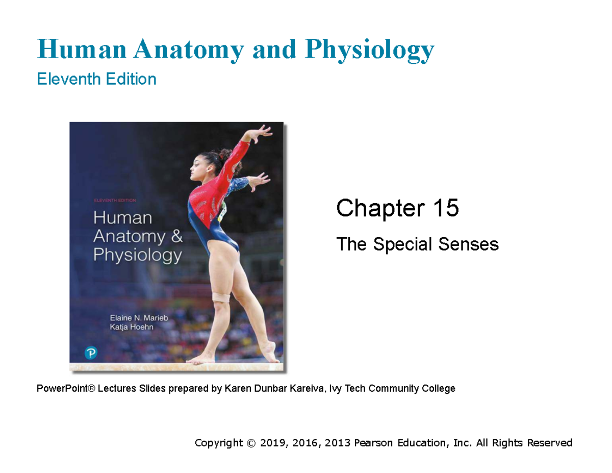 Human Anatomy & Physiology (BIO 101) Chapter 15: The Special Senses ...