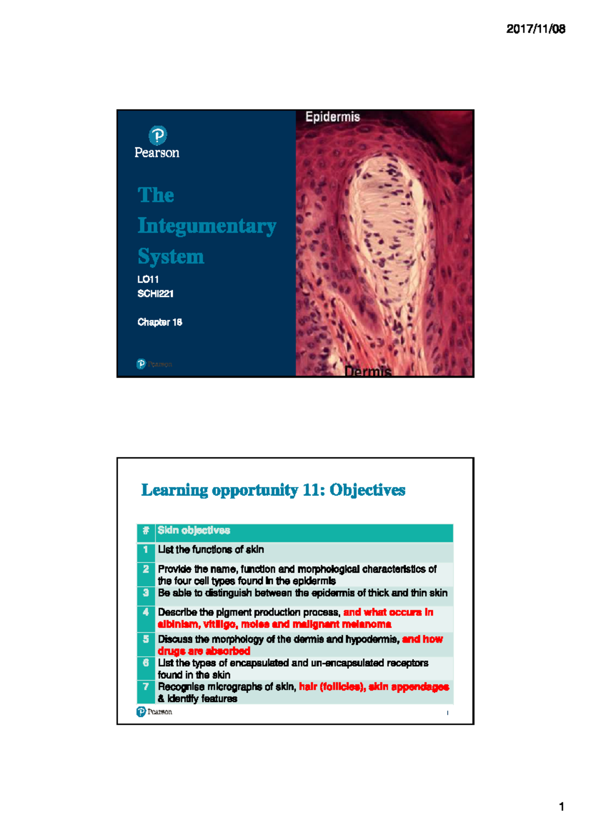 Integumentary System Overview: Skin Functions & Structures LO11 SCHI221 - Studocu