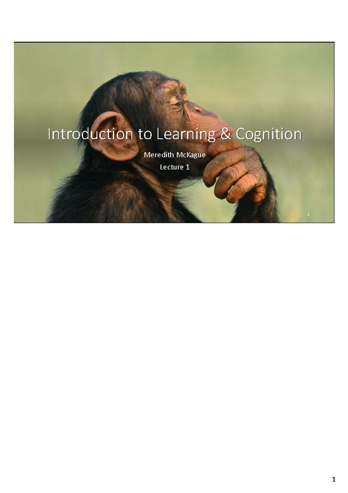 MBB-1 Learning & Cognition: Lecture 1 Overview - Studocu