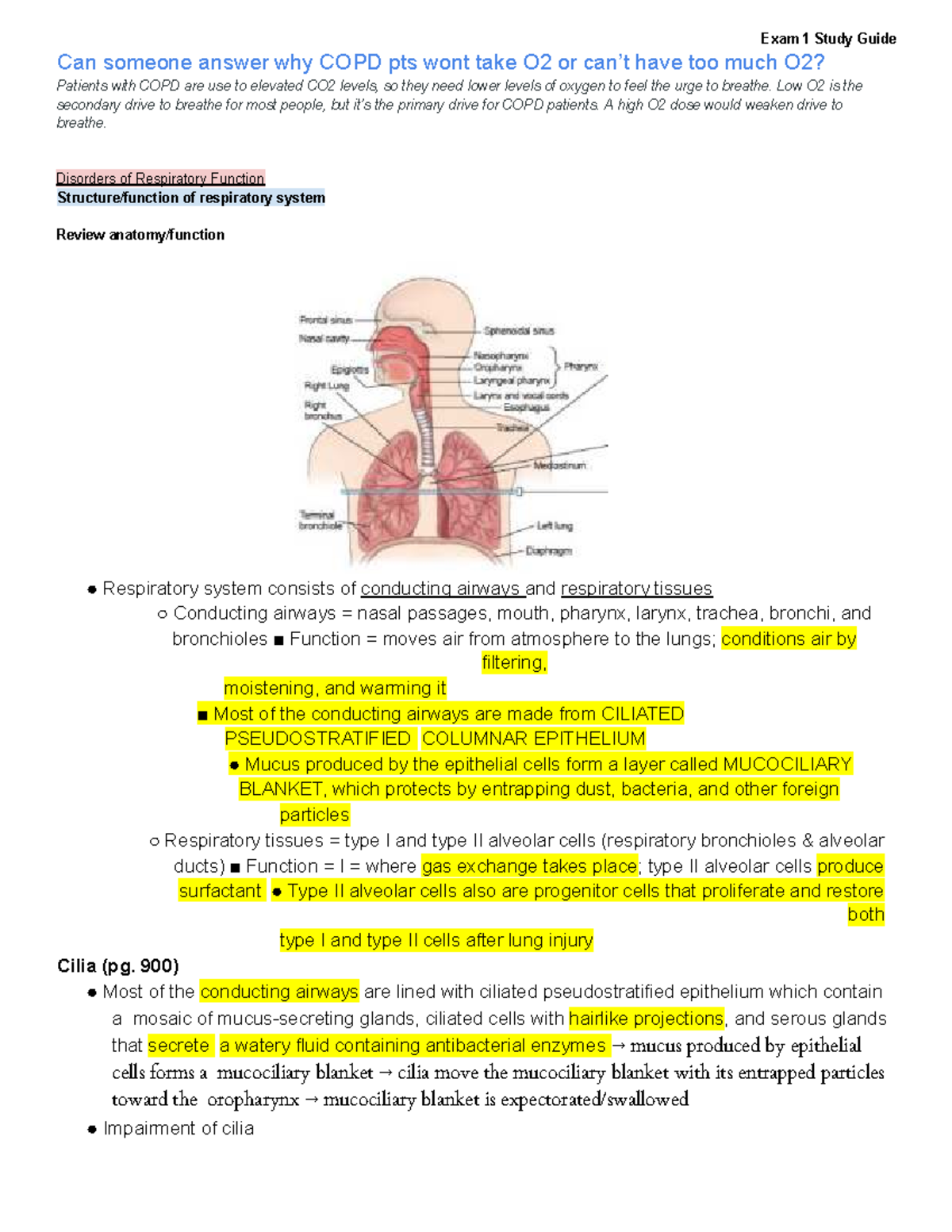 Copy of 6100 Exam 1 Study Guide: COPD and Respiratory Disorders ...
