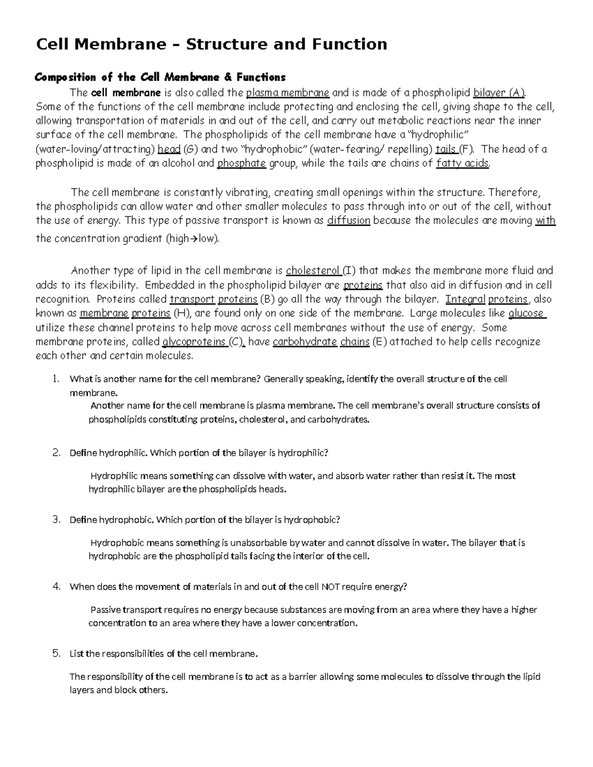 Cell-membrane-info Worksheet - Cell Membrane – Structure and Function ...