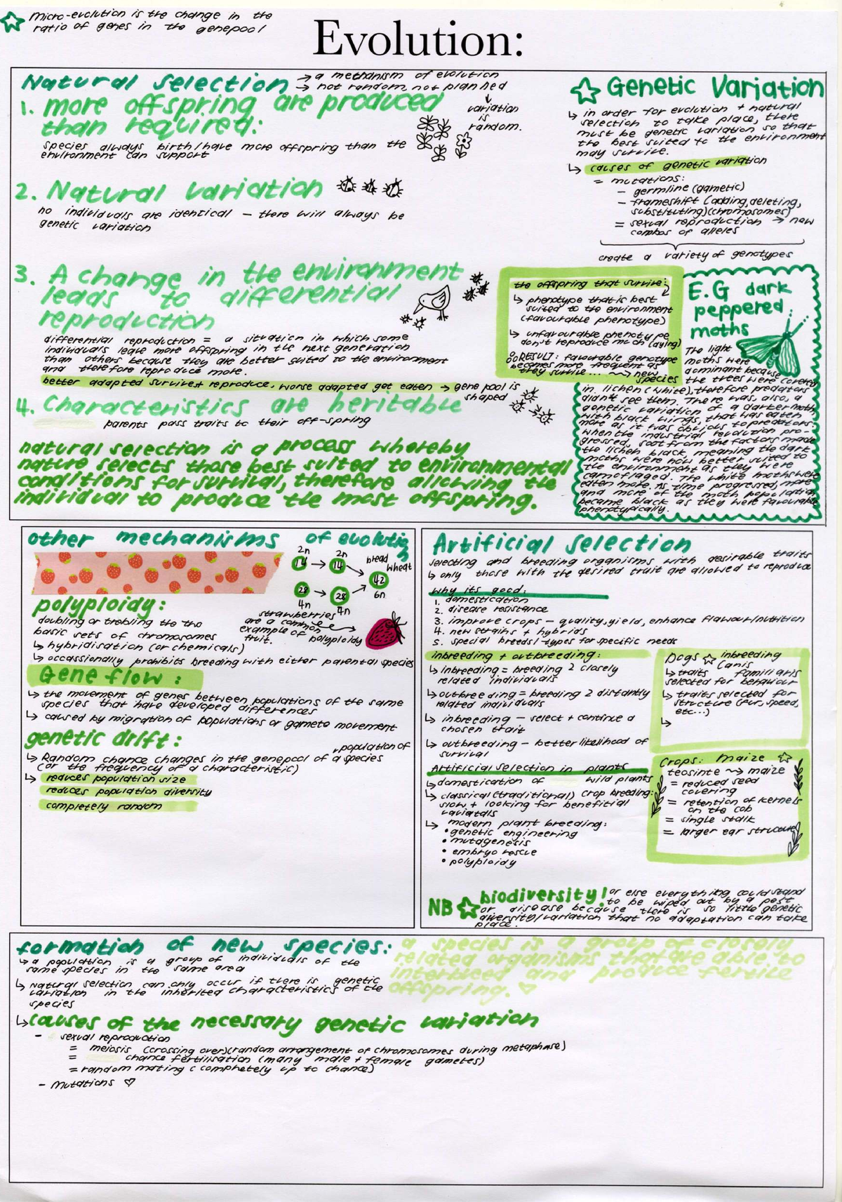 A3 Biology 14 - Natural Selection and Genetic Variation Summary - Studocu
