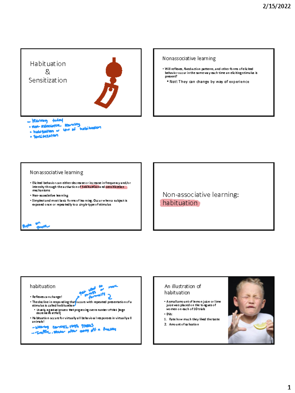Habituation and Sensitization: Key Concepts in Nonassociative Learning ...