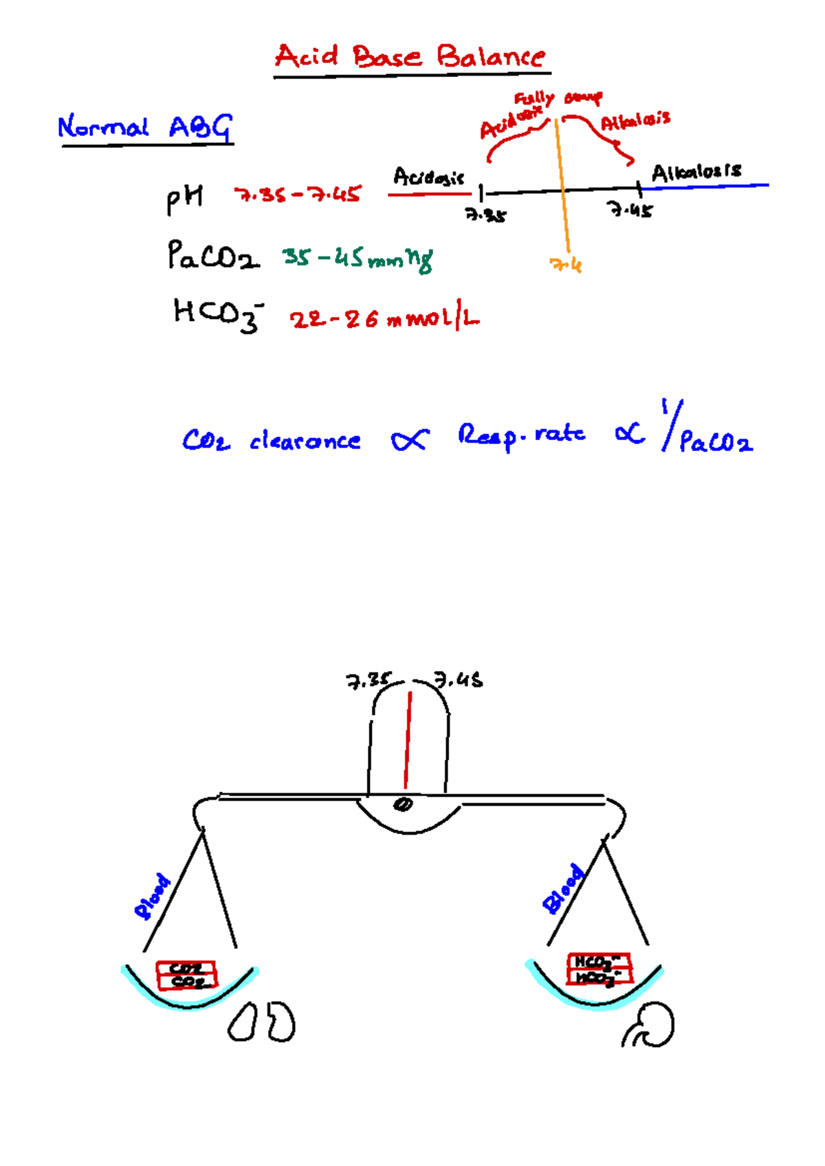 Abg Analysis Acid Base Balance Disorders Overview Studocu