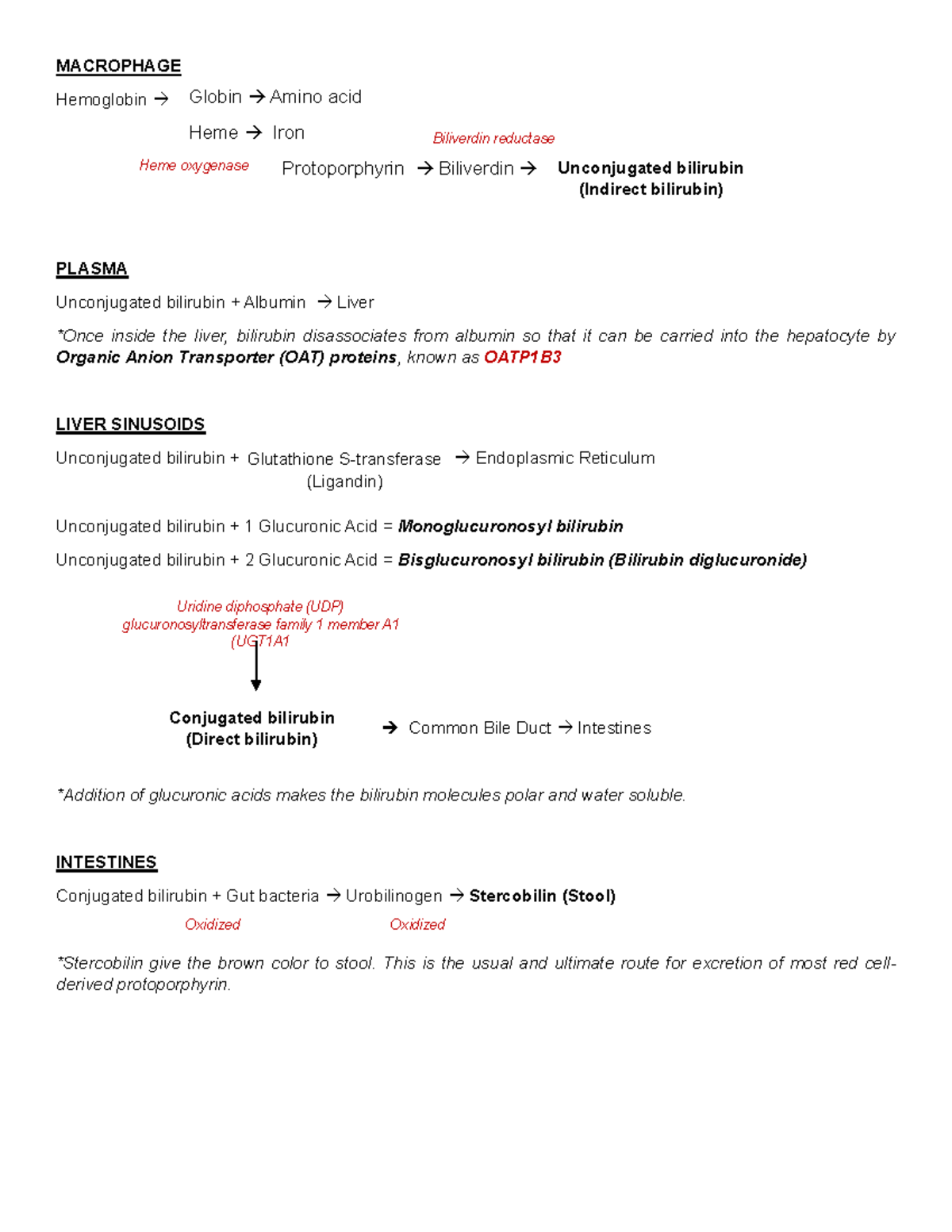 Macrophage- Mediated Hemolysis Diagram - Glutathione S-transferase ...