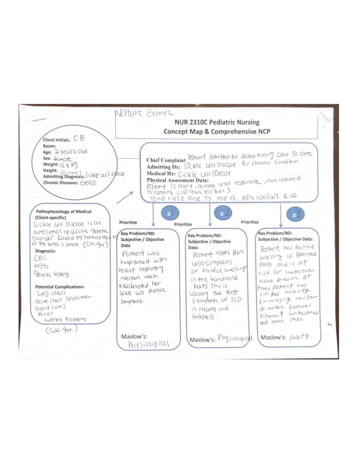 PEDS Concept Map Overview and Key Connections - Studocu