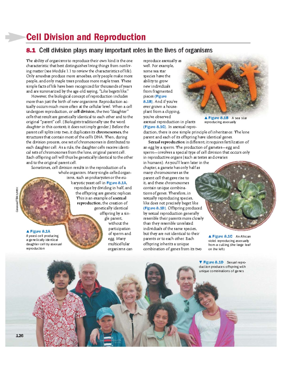 Eukaryotic Cell Cycle & Mitosis Overview - Chapter 8 Notes (Bio 101 ...