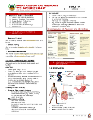 Sv agreement - information - Subject-Verb Agreement Definition ...