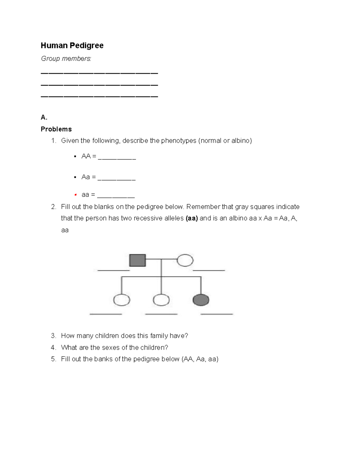 Activity no. 3.2 Human Pedigree - Human Pedigree Group members