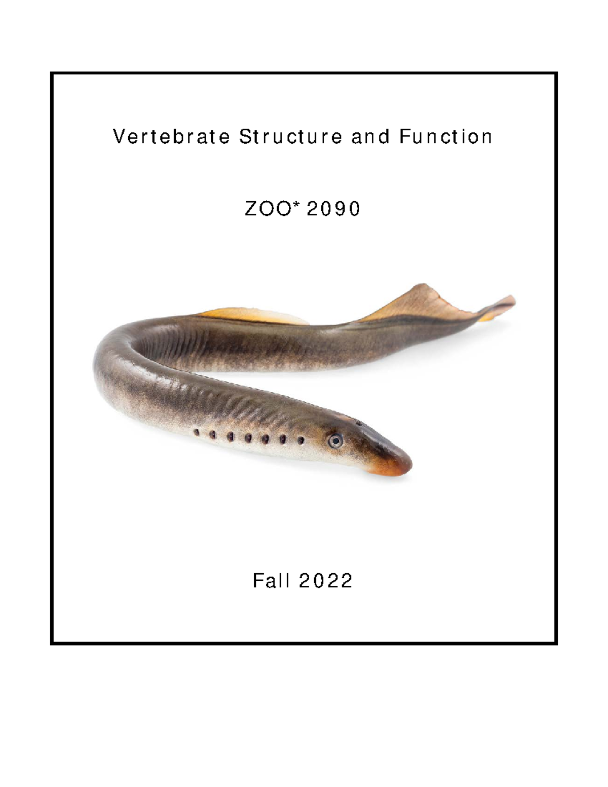 Vertebrate Structure and Function Lab Manual - ZOO2090 - Fall 2022 ...