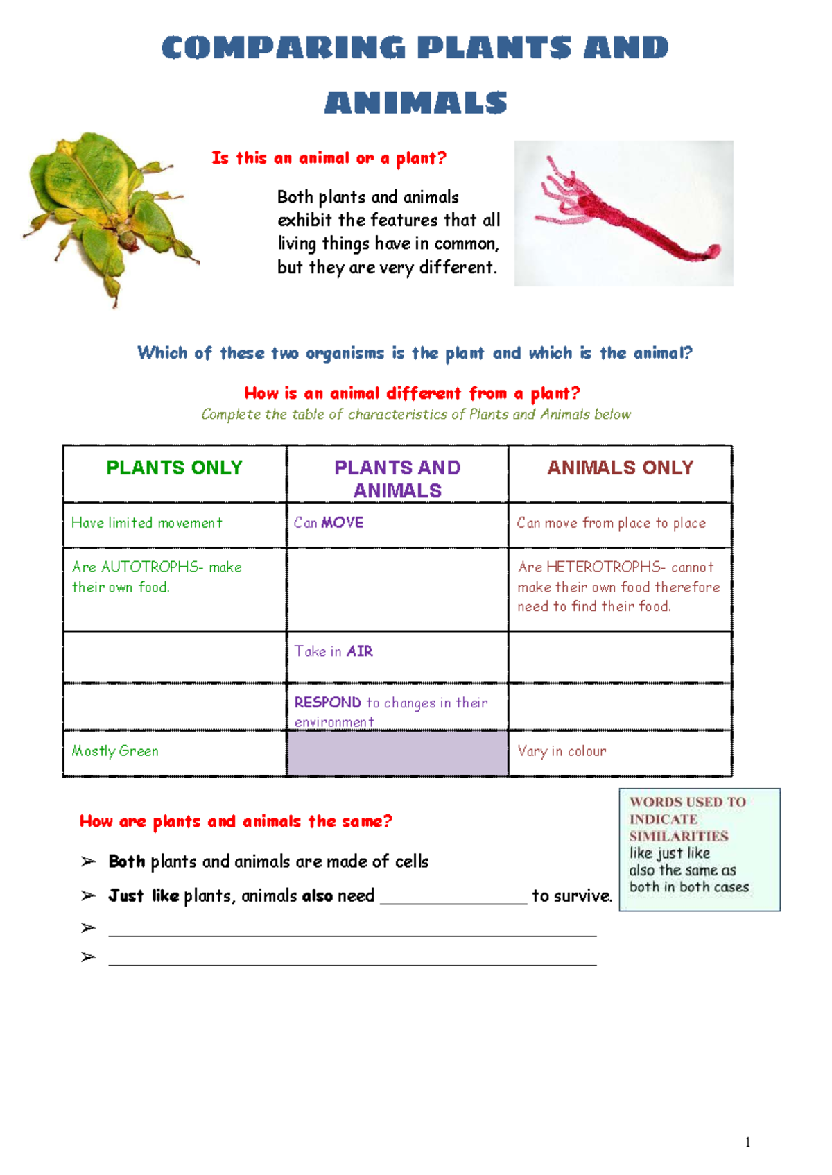 Comparing Plants and Animals: Key Characteristics Explained - Studocu
