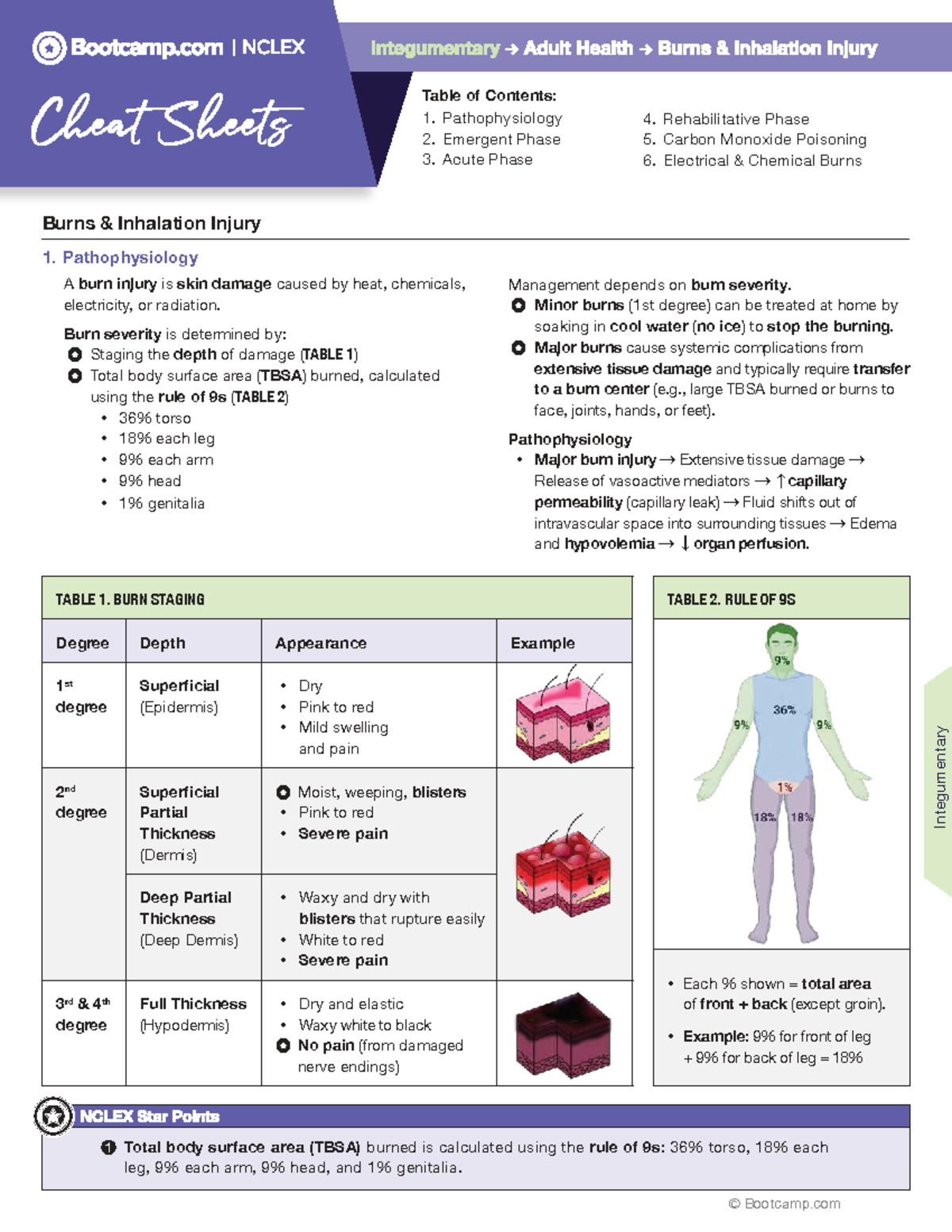 Burn Care Management: Phases and Interventions (NURS 101) - Studocu