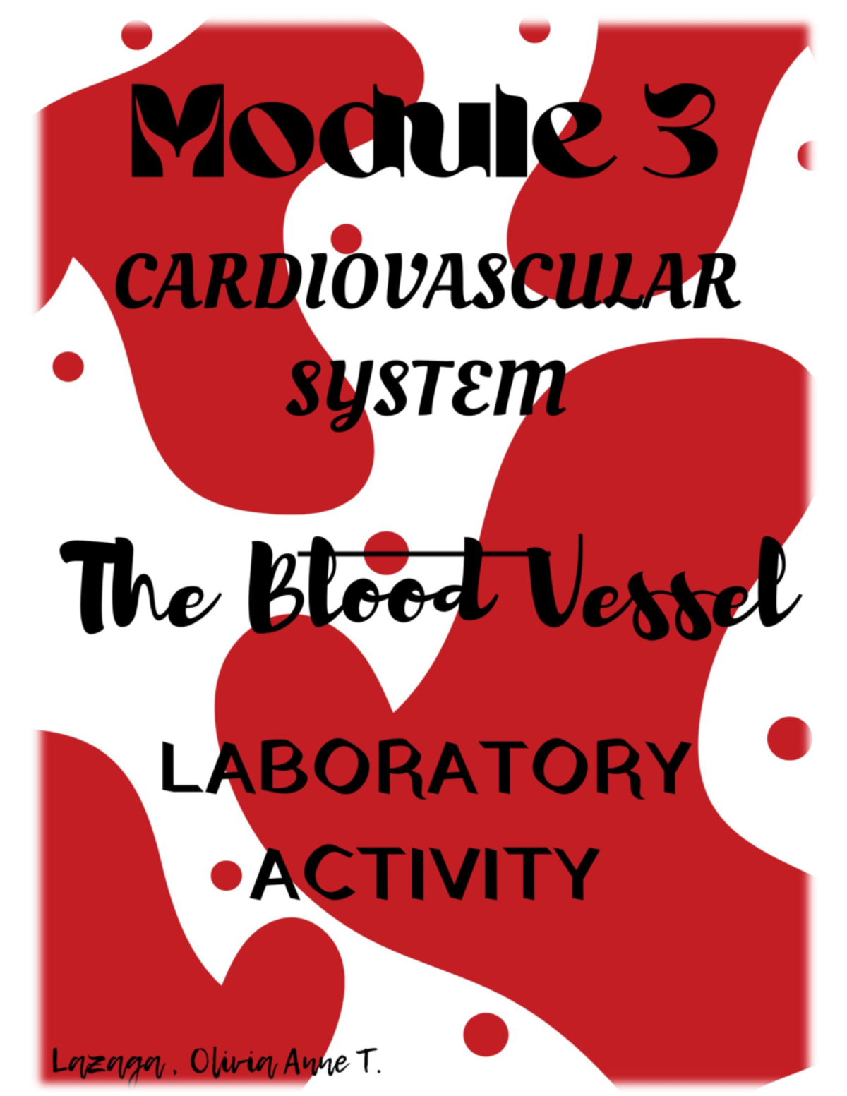 Cardiovascular System Lab Activity: Blood Vessels Overview - Studocu