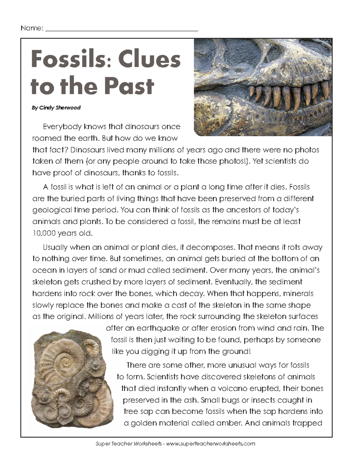 7th Grade Science: Fossils - Clues to the Past Worksheet - Studocu