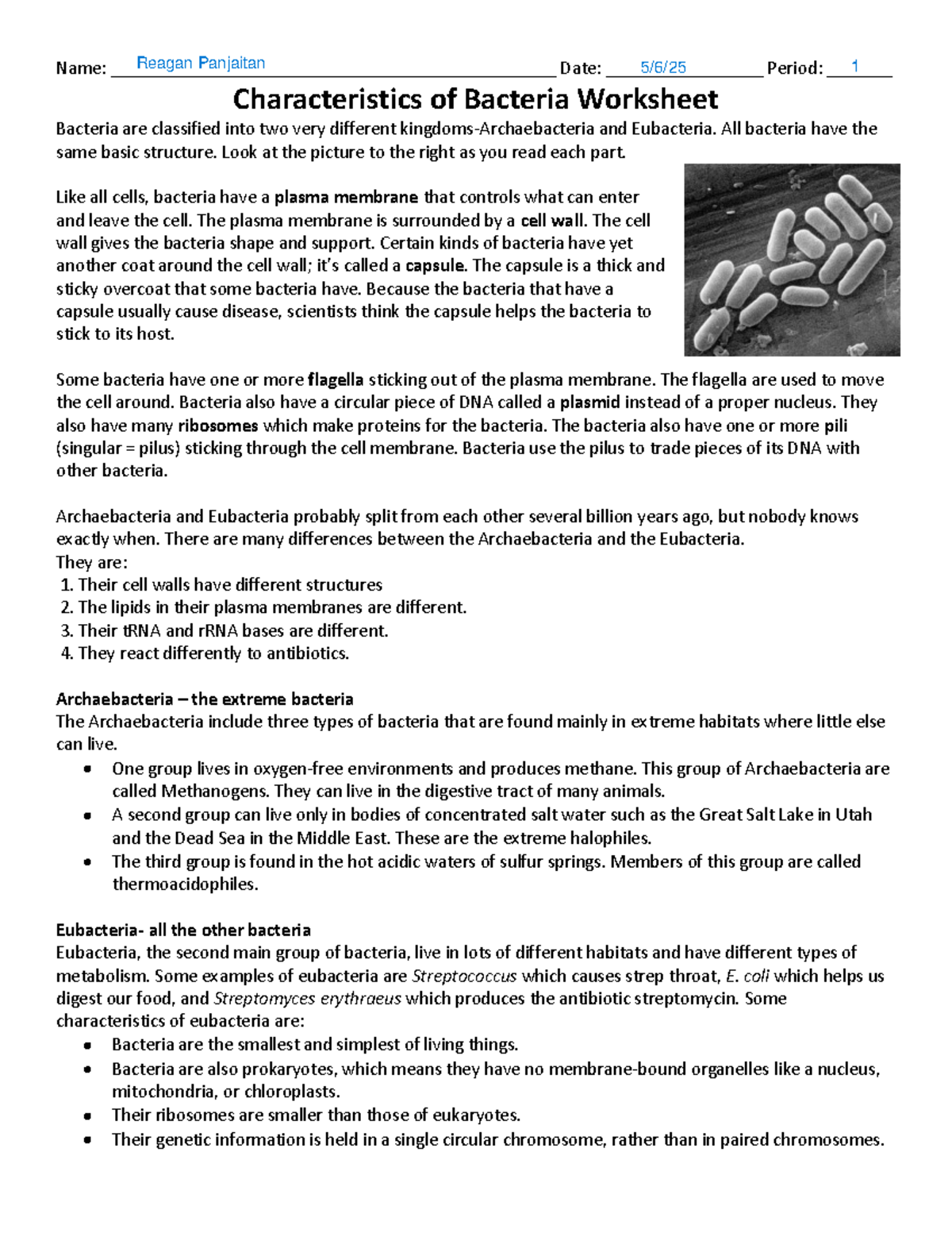 Bacteria Characteristics Worksheet (Biology 101) - Studocu