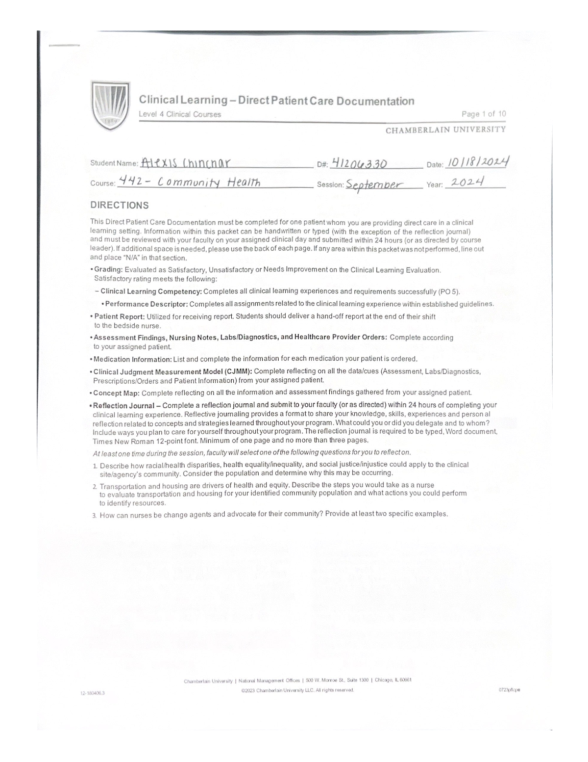 Clinical Learning Documentation - Direct Patient Care Level 4 ...