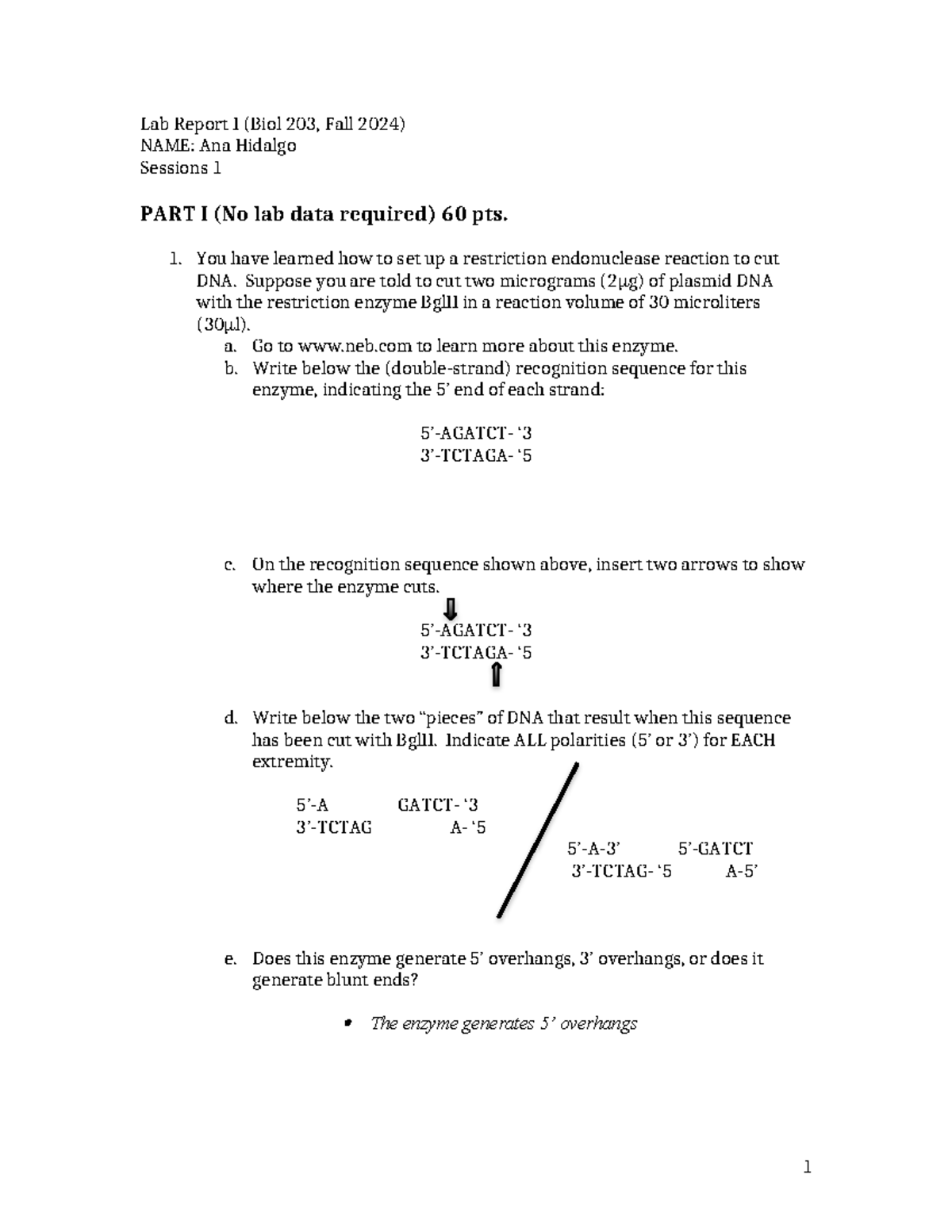Lab Report I: Restriction Enzyme Analysis (Biol 203, Fall 2024) - Studocu