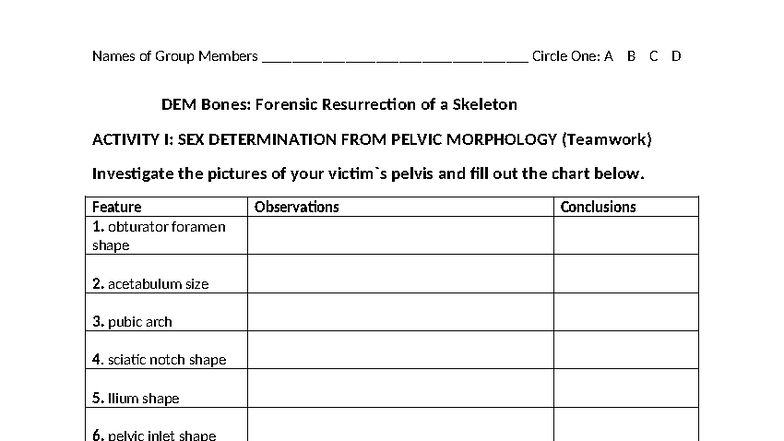 DEM Bones: Forensic Analysis Team Answer Sheet (Activity) - Studocu