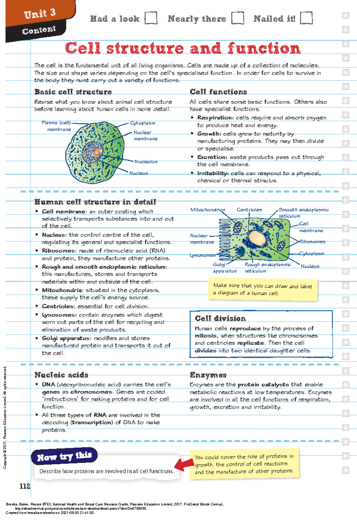 BTEC Unit 3 Anatomy & Physiology: Cell & Tissue Functions Overview ...