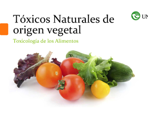 Pautas TP Toxico Contaminantes Industriales Exposicion grupal 2024 ...