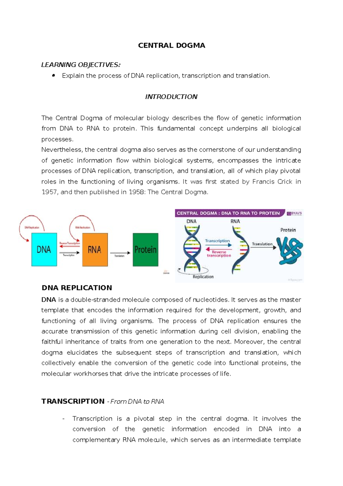 CENTRAL DOGMA: DNA Replication, Transcription & Translation Overview ...