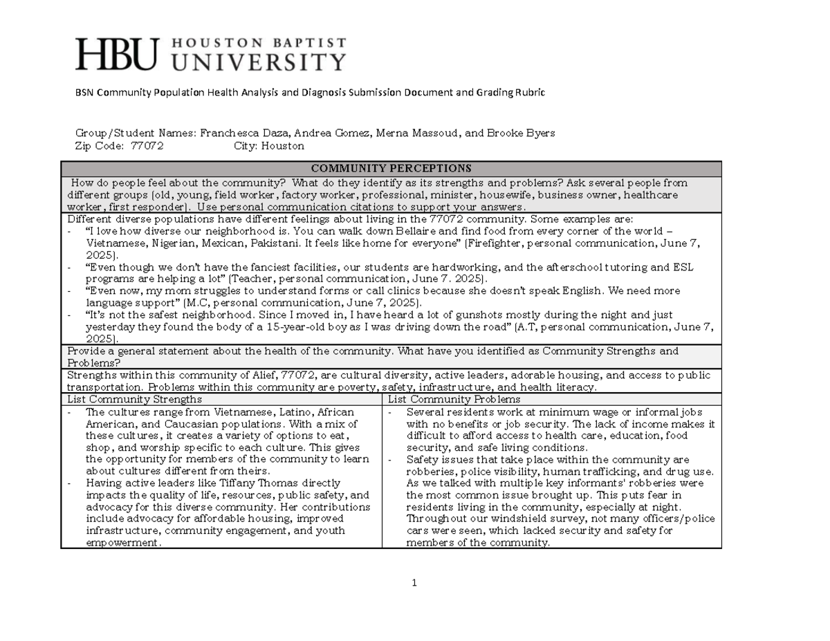 BSN 77072 Community Health Analysis: Strengths, Problems & Diagnoses ...
