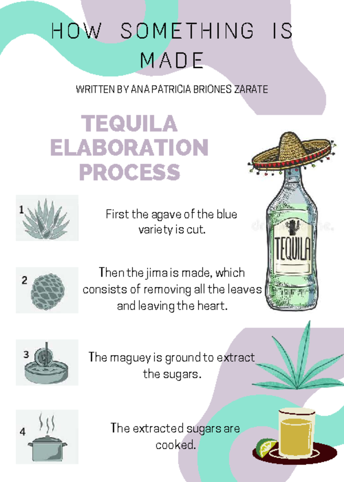 Tequila Elaboration Process: From Agave to Sugar Extraction - Studocu
