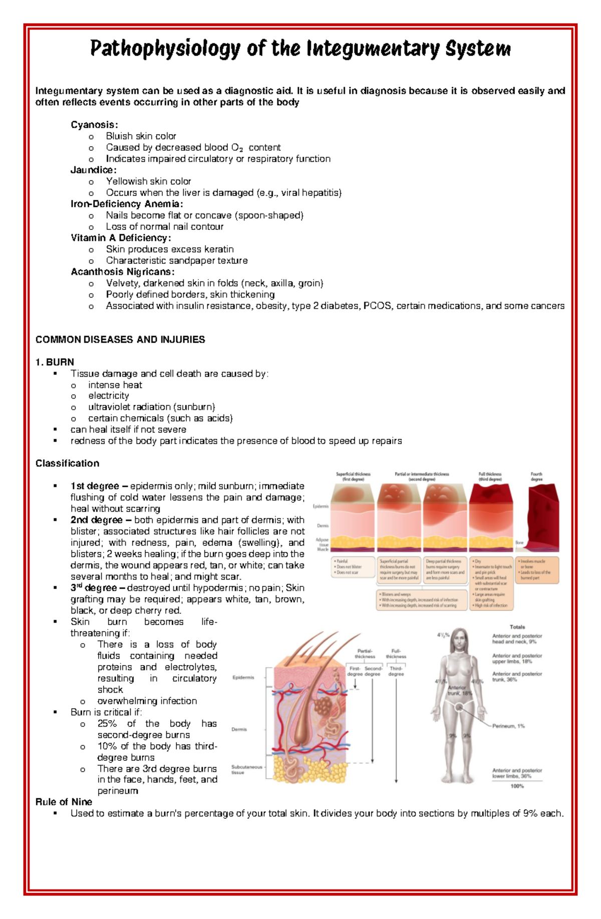 Lesson 9: Pathophysiology of the Integumentary System - Studocu