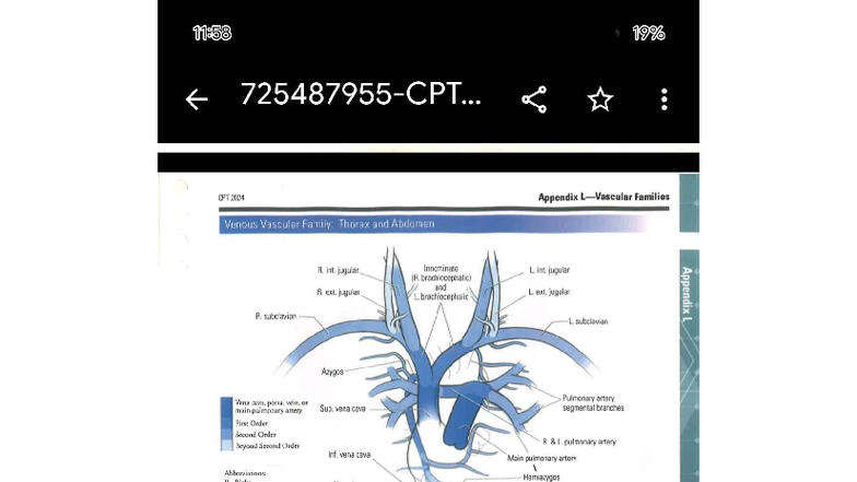 CPT 2024 Appendix L: Vascular Families Overview - Studocu