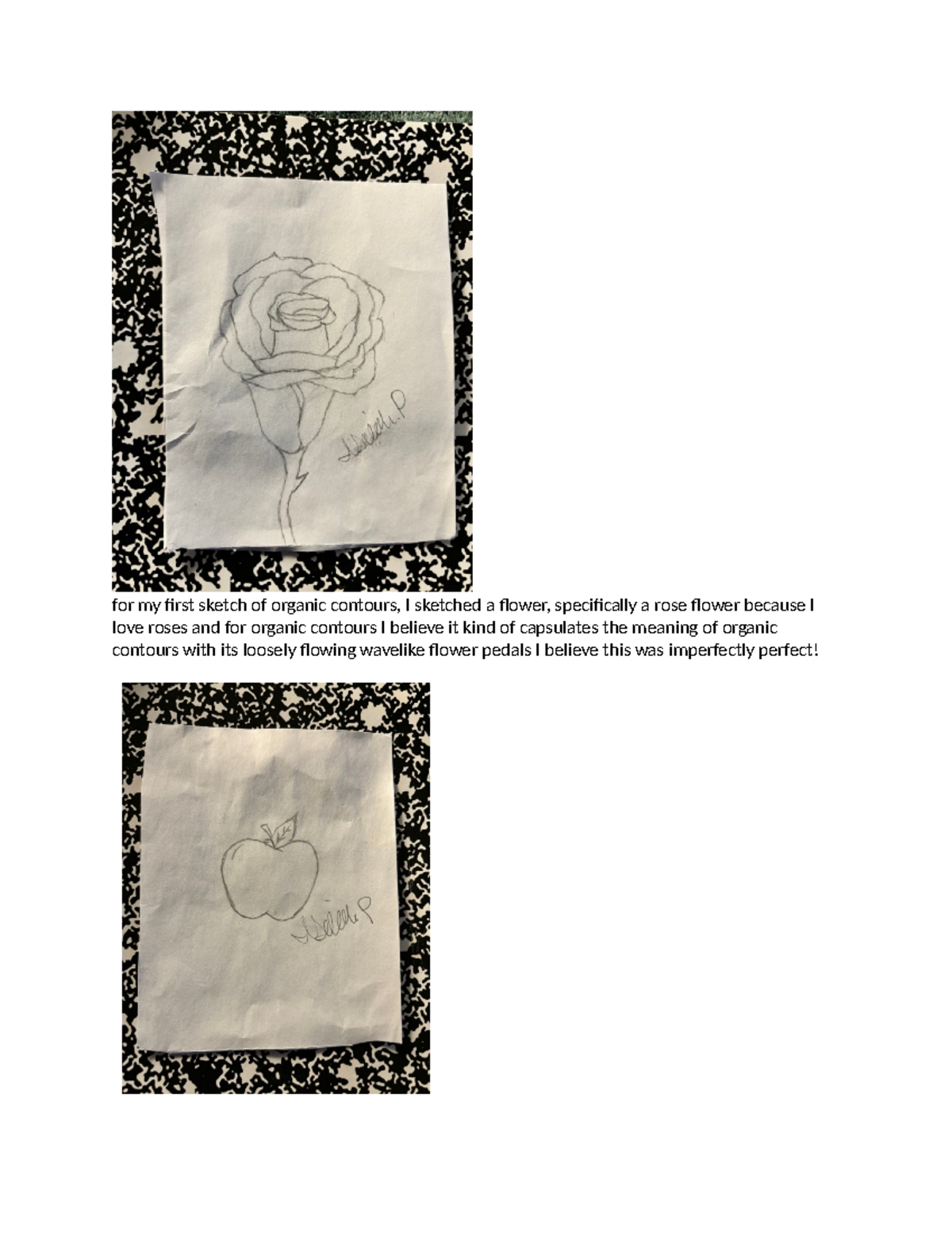 2-2 Project: Sketching Organic & Geometric Contours in Art - Studocu