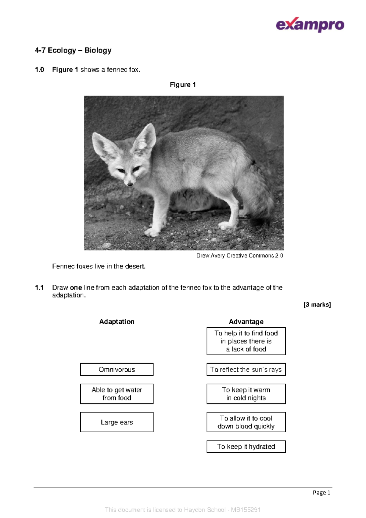 Ecology Biology 1.0: Fennec Fox Adaptations and Biodiversity Insights ...