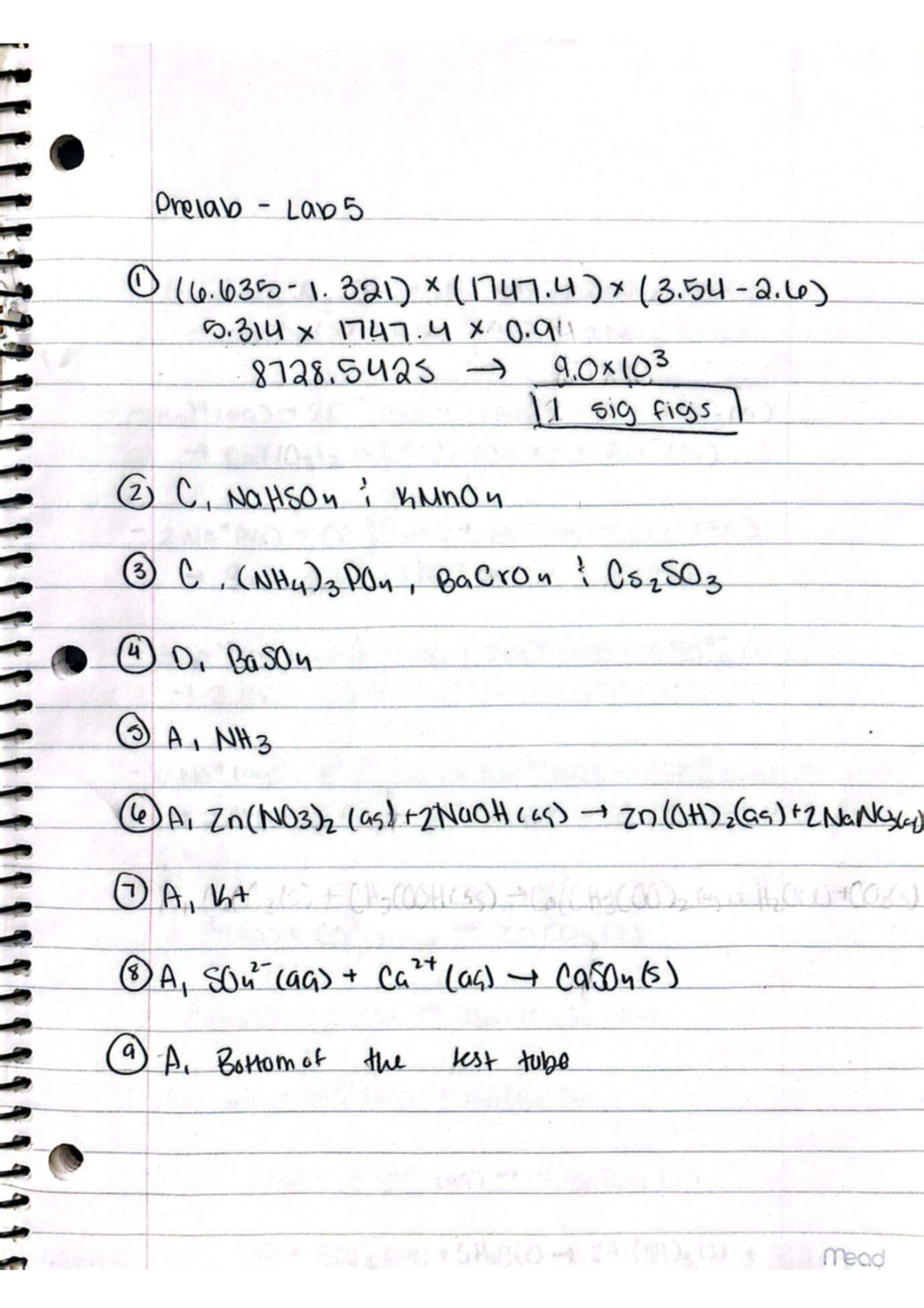 Lab 5 - Net Ionic equations - Prelab Lab5 I x 5 X 1747.4x0 8728 9 1 sig ...
