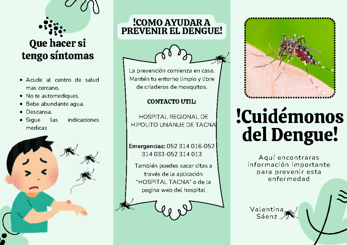Folleto Tríptico del Dengue Verde Claro - Valentina Sáenz !Cuidémonos ...