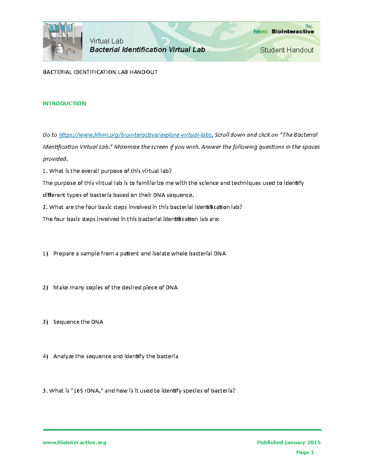 Bacterial Identification Lab Worksheet Student - Student Handout ...