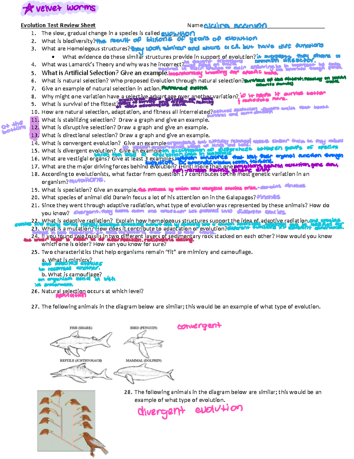 Evolution Test Review Sheet for Biology 101 (Updated) - Studocu