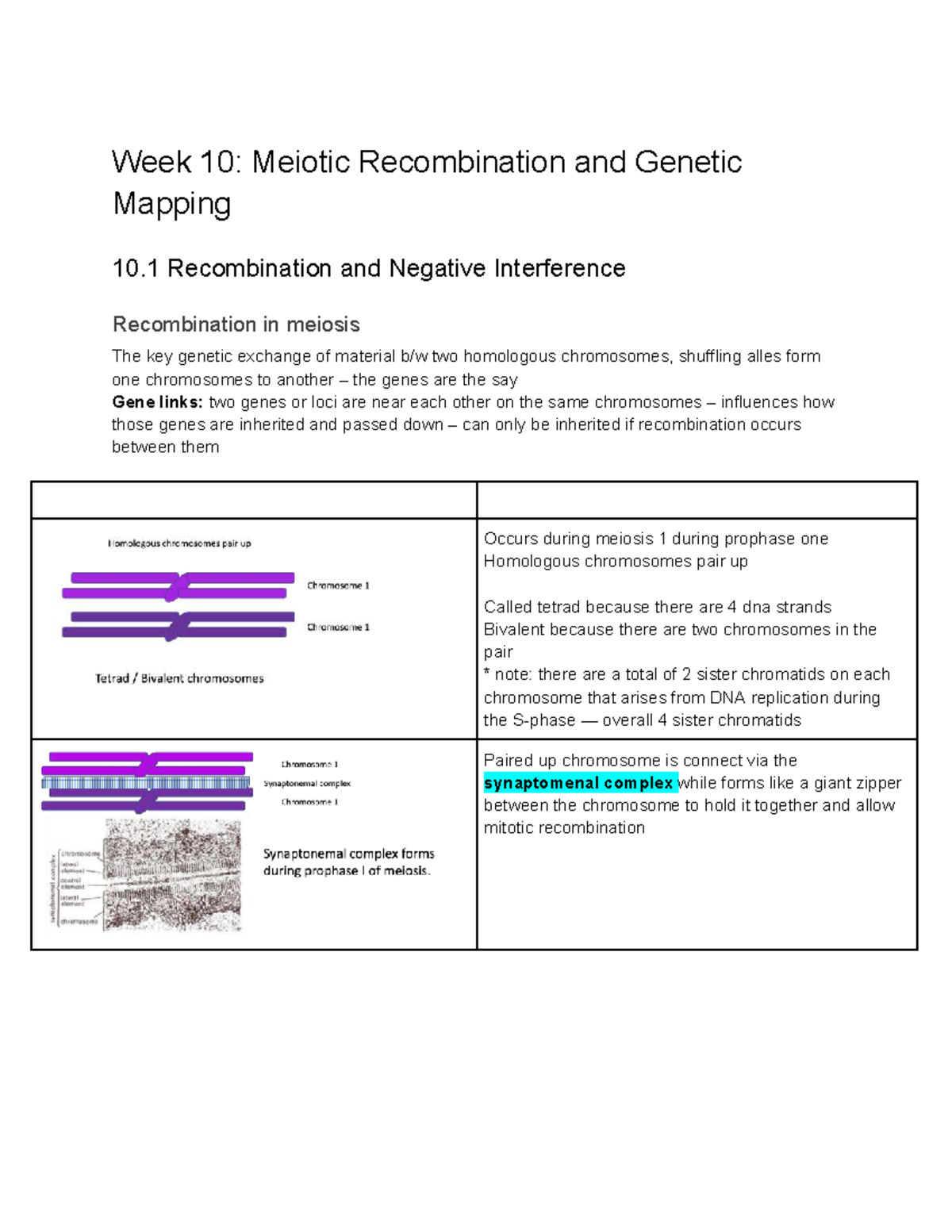 Genetics 2581: Week 10 - Meiotic Recombination & Genetic Mapping - Studocu