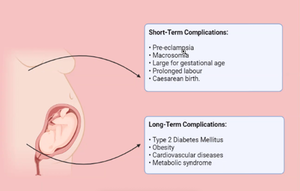 9 ECG Strips for NCLEX II: Atrial Fibrillation & Supraventricular Tachycardia - Studocu