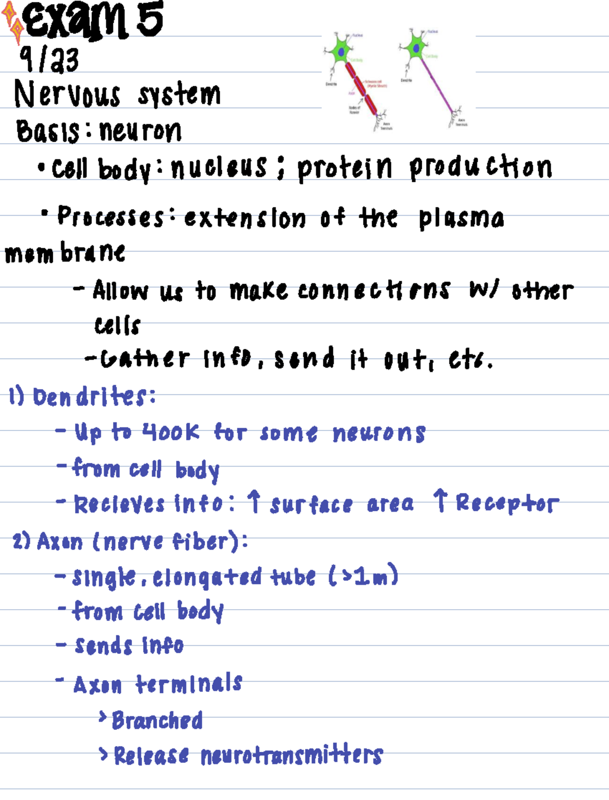 Understanding Action Potentials & Graded Potentials in Neurons (aa.Mn ...