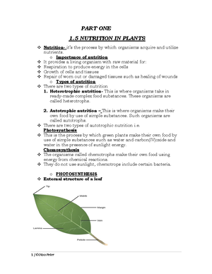 [Solved] What are types of segmentationone being metameric segmentation ...