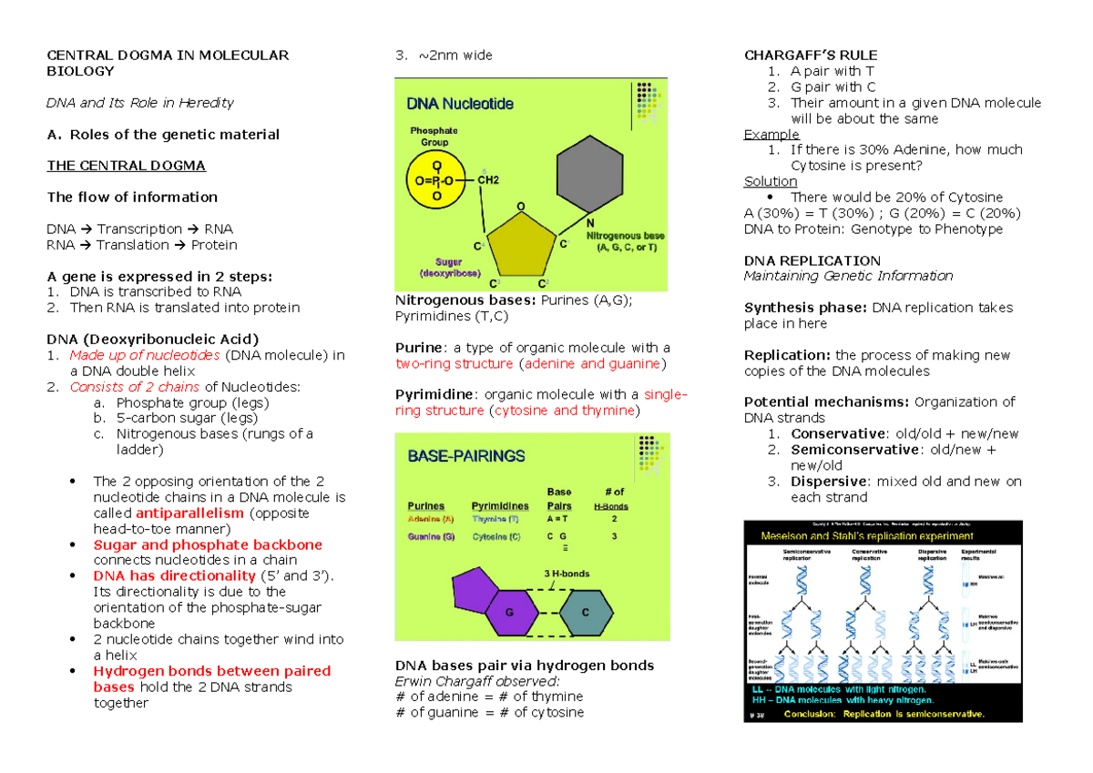 [Notes] Central Dogma IN Molecular Biology - CENTRAL DOGMA IN MOLECULAR ...