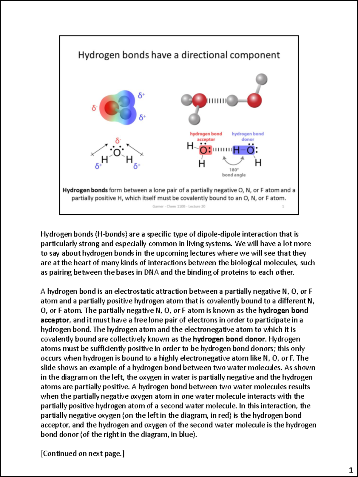 Hydrogen Bonds in Biological Systems: Mechanisms & Importance (BIO 101 ...