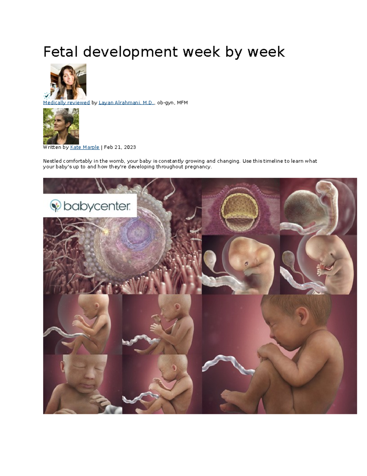 Fetal development week by week - Fetal development week by week ...