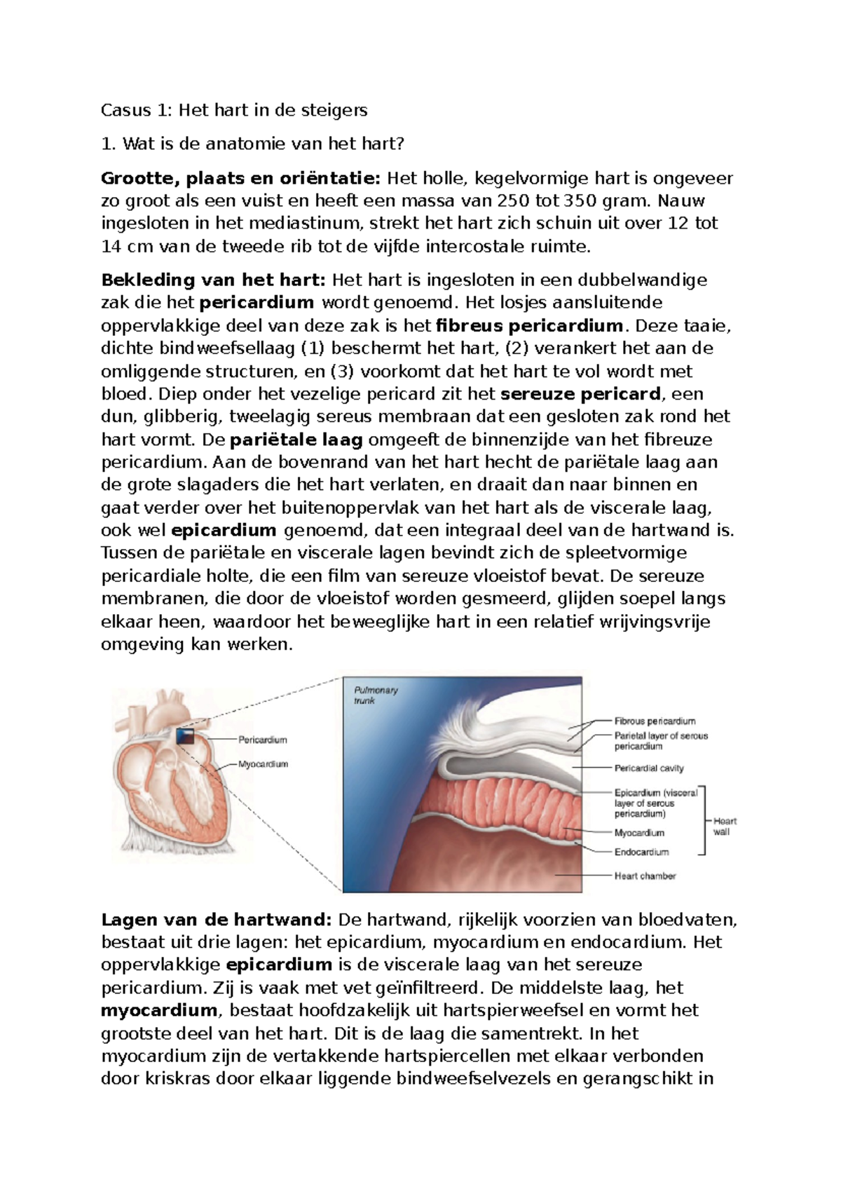 Casus 1: Anatomie en Functie van het Hart in Leerdoel 1 - Studeersnel