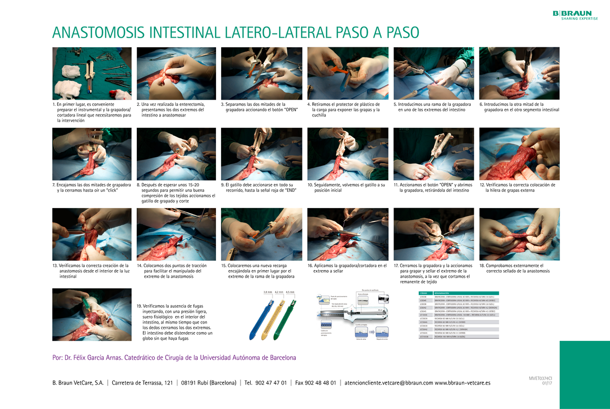 MVET0374CI: Paso a Paso de la Anastomosis Intestinal Lateral-Lateral ...