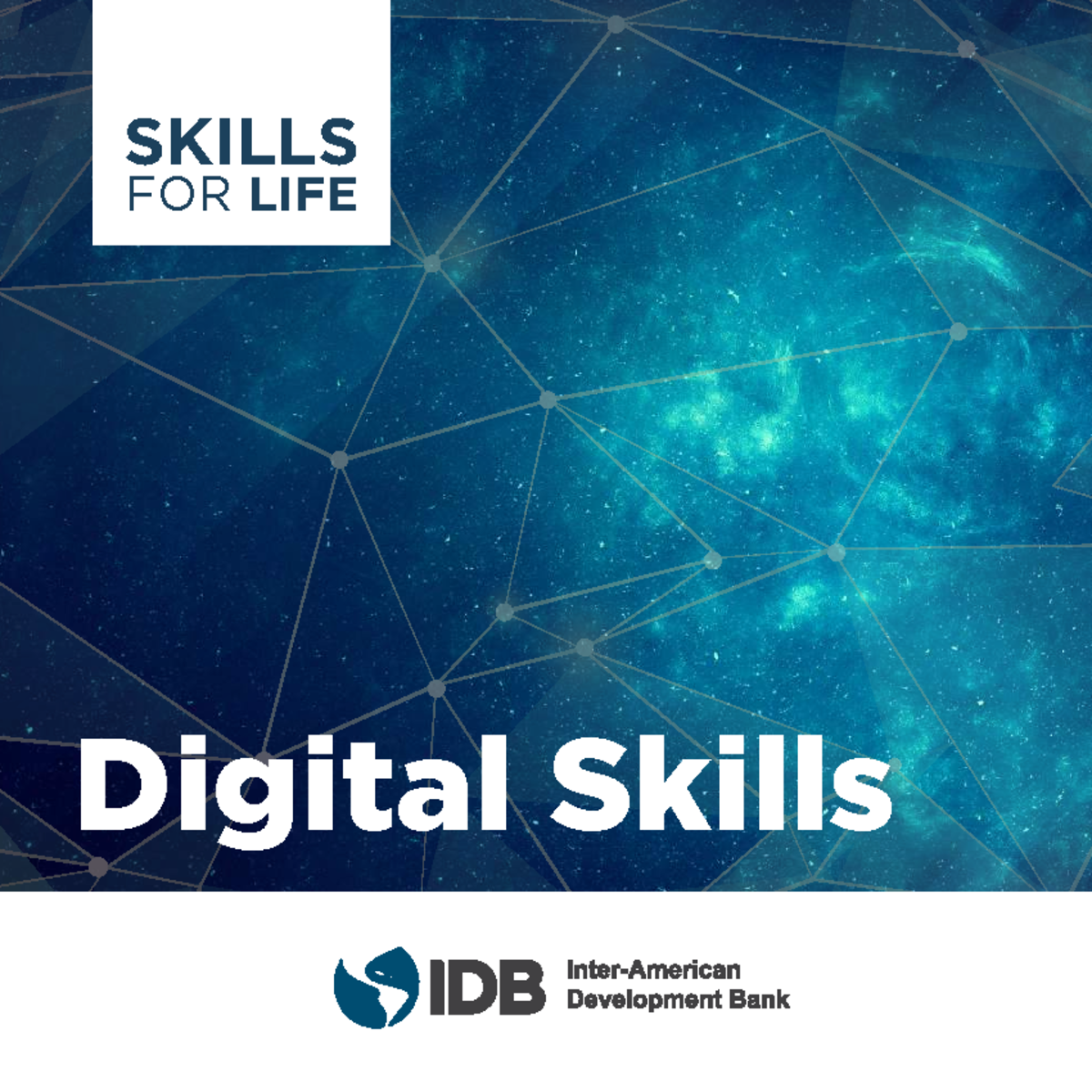 Digital Skills for Life: A Comprehensive Overview by IDB - Studocu
