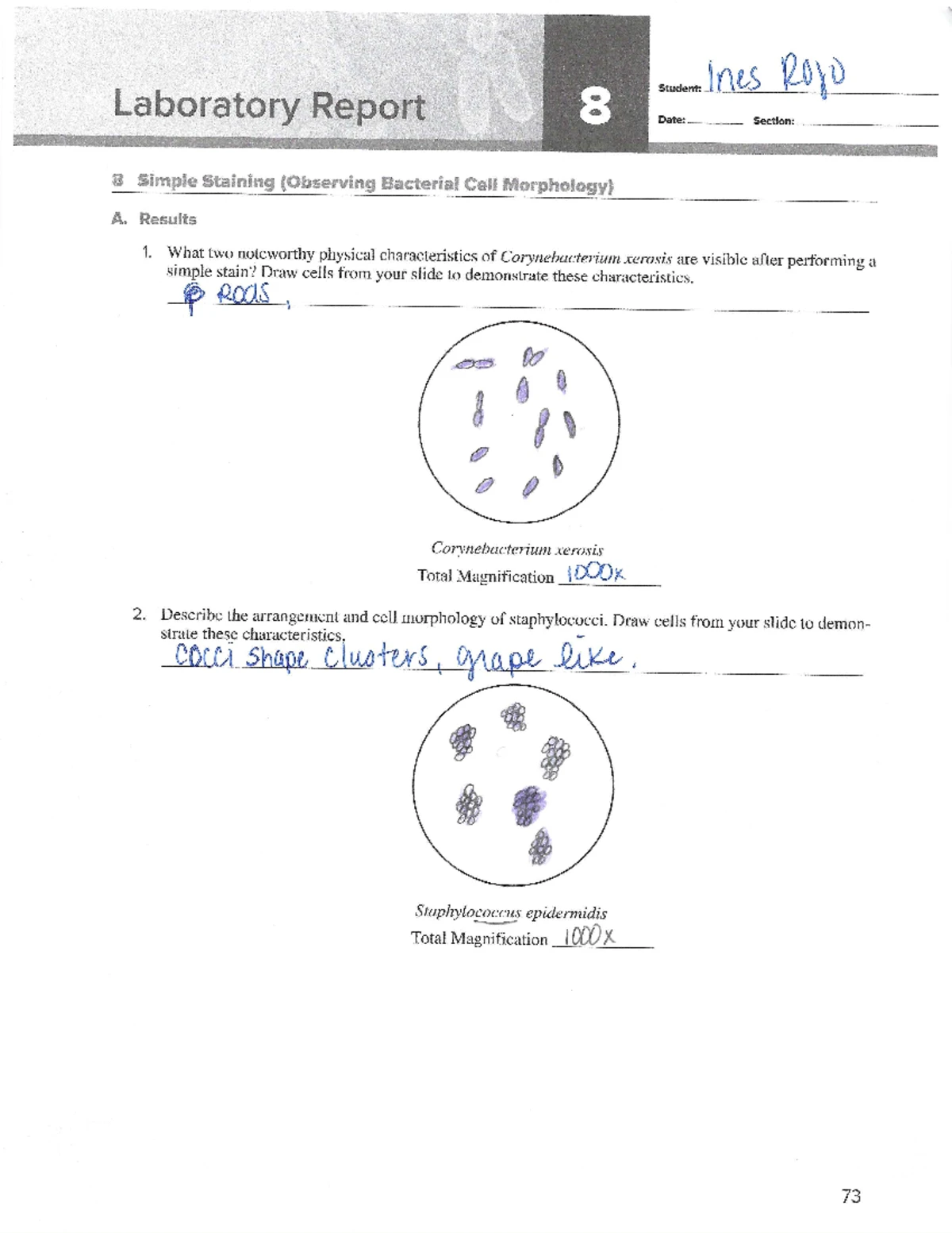 Ex 01 Lab Report - lab 1 - Laboratory Report 1 Student: Date: Section ...